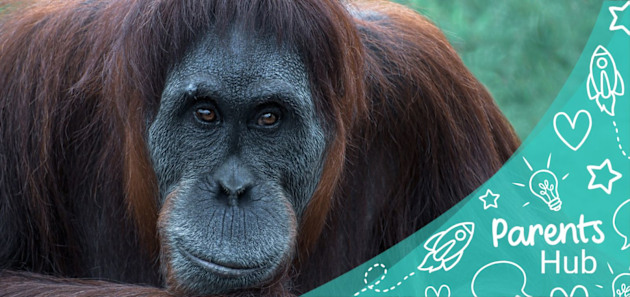 What Is the G7 Summit? Facts and Activities for Kids