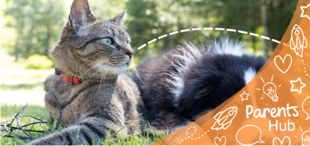 Story Maps for Kids - Twinkl