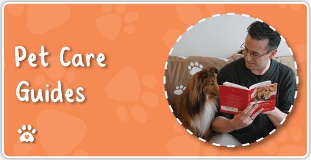 Twinkl Pets - Pet Care - for the Whole Family - Twinkl+