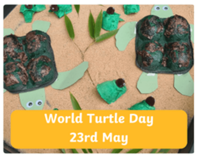 Babies | Babies and Toddlers | EYFS | Twinkl - Twinkl