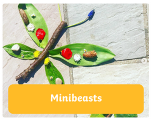 Babies | Babies and Toddlers | EYFS | Twinkl - Twinkl