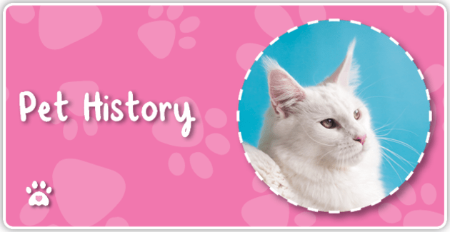 Twinkl Pets - Pet Care - for the Whole Family - Twinkl+