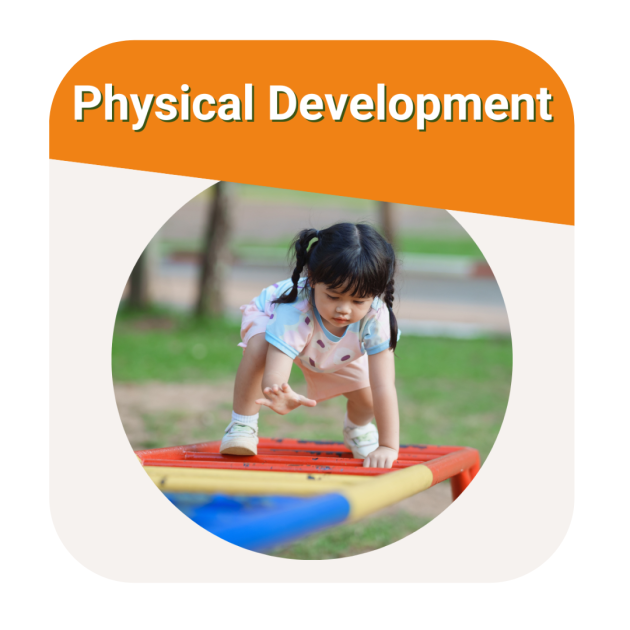 Early Years CPD Hub | Early Years Foundation Stage | Twinkl