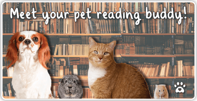 Twinkl Pets - Pet Care - for the Whole Family - Twinkl+