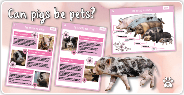 Twinkl Pets - Pet Care - for the Whole Family - Twinkl+