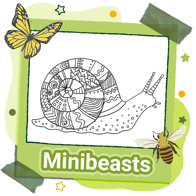 Colouring Sheets and Pages for Parents - Twinkl