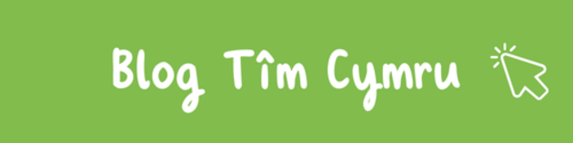 Cwricwlwm i Gymru - Adnoddau Cymraeg - Twinkl