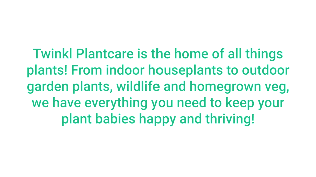 Twinkl Plantcare | Twinkl+ - Twinkl