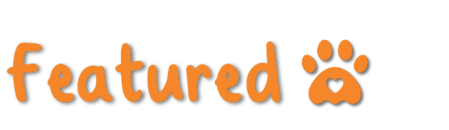 Twinkl Pets - Pet Care - for the Whole Family - Twinkl+