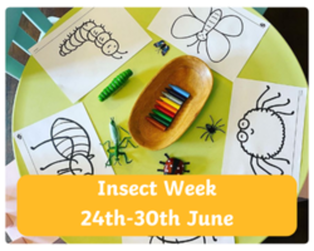 Babies | Babies and Toddlers | EYFS | Twinkl - Twinkl