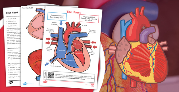 Twinkl Teaching Events Calendar - Twinkl