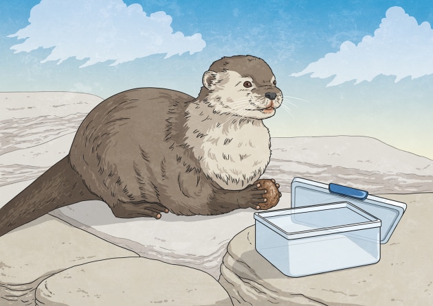 Otter Genius - Twinkl NewsRoom - Twinkl