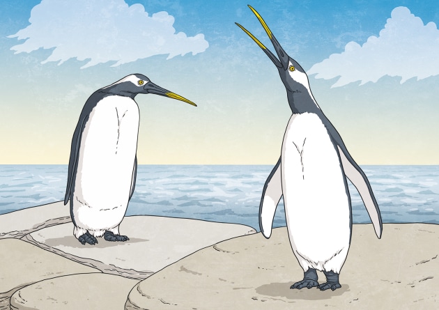 Field Trip Kids Discover Fossil of New Species - Twinkl NewsRoom