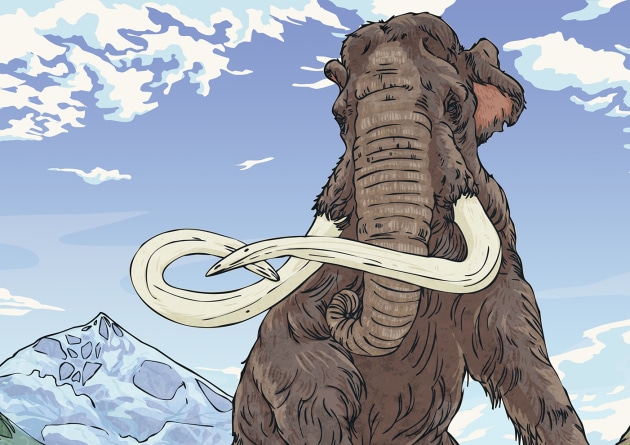 Scientists ‘Stunned’ By Rare Tusk Find - Twinkl NewsRoom