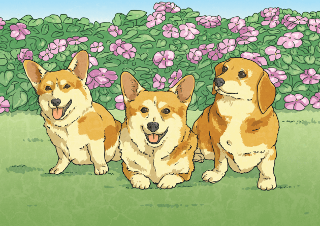 Queen Elizabeth II’s Animals - Twinkl NewsRoom - Twinkl