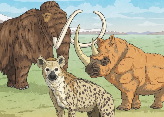 'Rare' Ice Age Animals Found In Cave - Twinkl NewsRoom