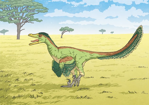 Solitary Raptor - Twinkl NewsRoom - Twinkl