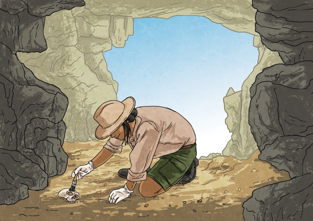 Stone Age Skull - Twinkl NewsRoom - Twinkl