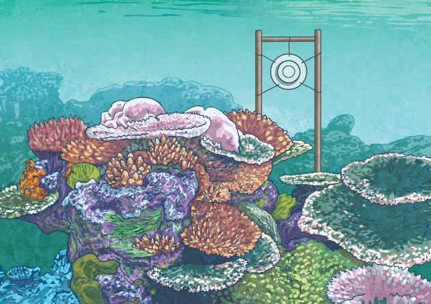 Coral Sounds - Twinkl NewsRoom - Twinkl