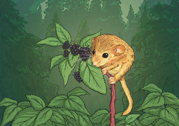 Rodent Rescue - Twinkl NewsRoom - Twinkl