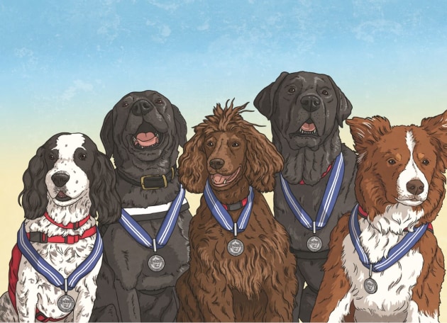 Five Dogs to Receive PDSA Award - Twinkl NewsRoom - Twinkl