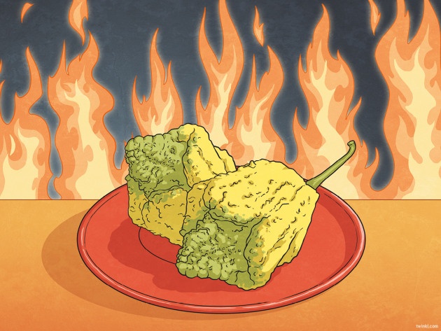 Pepper X: World’s Hottest Chilli Pepper - Twinkl NewsRoom