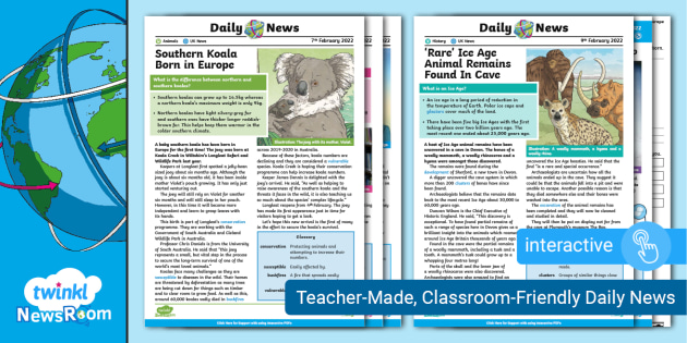 Weekly Comprehension Pack - Twinkl NewsRoom - Twinkl