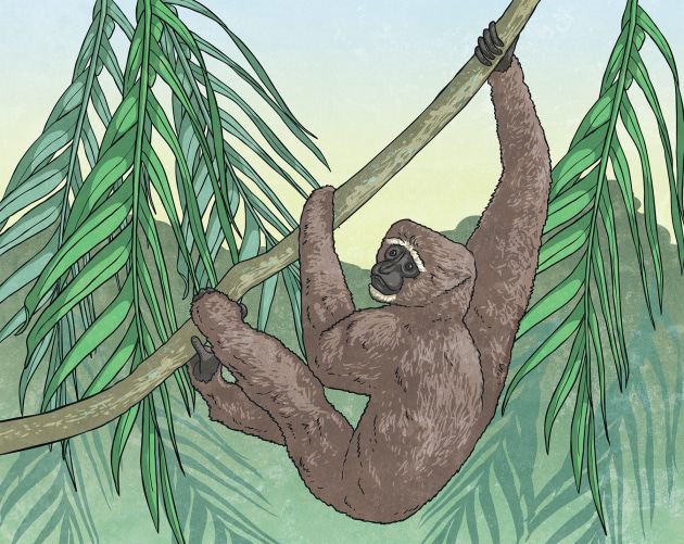 Nature Strikes Back - Twinkl NewsRoom - Twinkl