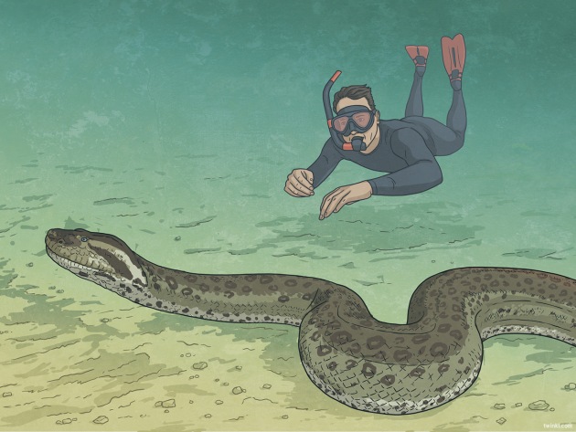 Biggest, Heaviest Snake in the World May Have Been Discovered - Twinkl