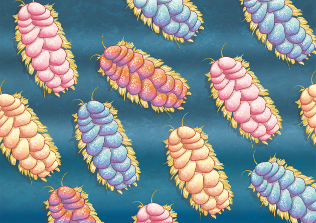 Glitter Worms - Twinkl NewsRoom - Twinkl