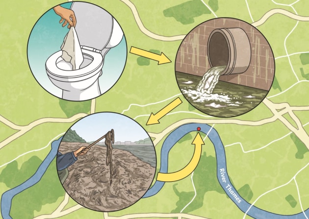 Wet Wipe Island on the Thames - Twinkl NewsRoom - Twinkl