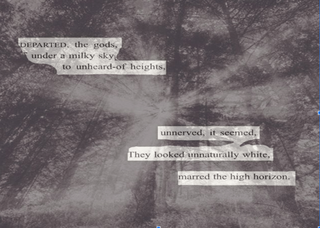 What is Blackout Poetry? - Definition, Examples and More