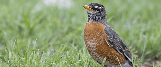 What is Connecticut? - Connecticut Facts for Kids - Twinkl