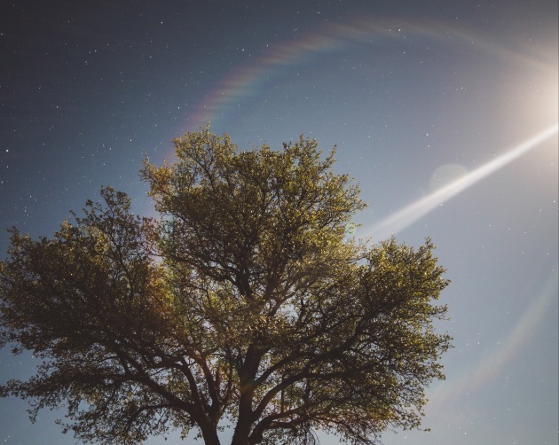 Ce este un curcubeu? | Teaching Wiki | Twinkl România