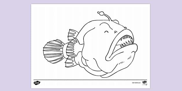 What Is an Anglerfish? | Facts for Kids | Twinkl - Twinkl