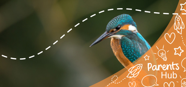 British Wildlife | Themes and Topics | GIANT Activity Mat | Parents