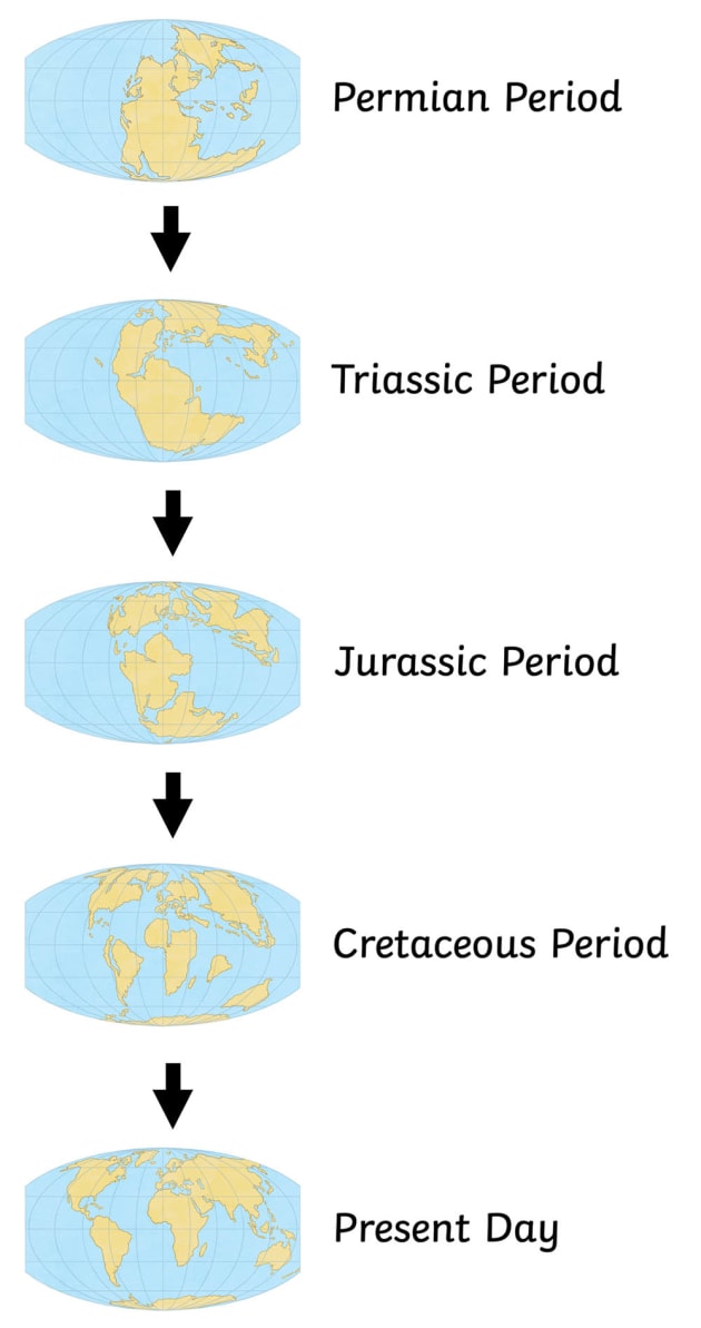 What is an Ocean? | Definition, History, Ocean Maps, Habitat