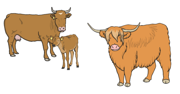 What is a Farm Visit? Teaching Wiki | Resources and Tips