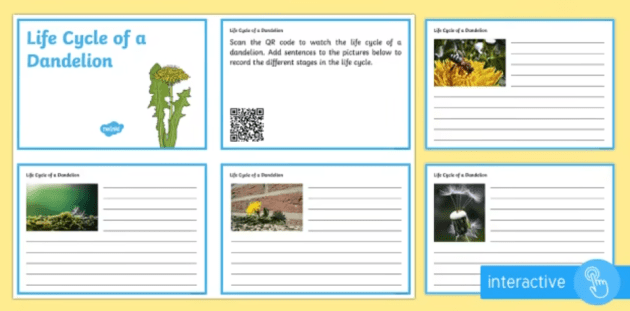 What is Reproduction in Plants? - Answered - Twinkl Teaching Wiki