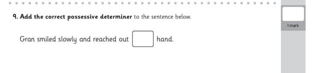 What is a Determiner? | Determiners KS2 English