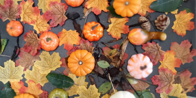Autumn - Events and Awareness Days - Early Years (EYFS)