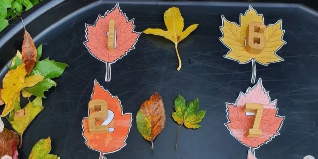 Autumn - Events and Awareness Days - Early Years (EYFS)