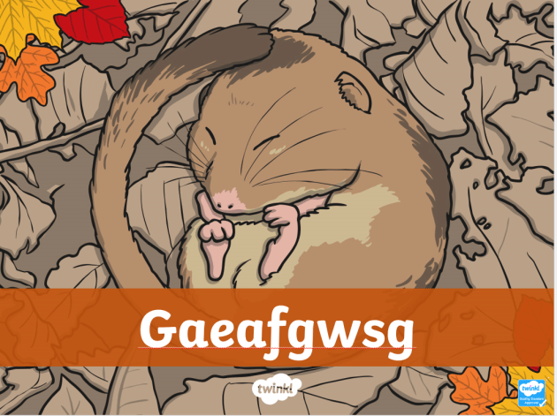 Dysgwch am y Gwanwyn yng Nghymru gyda Wici Dysgu Twinkl