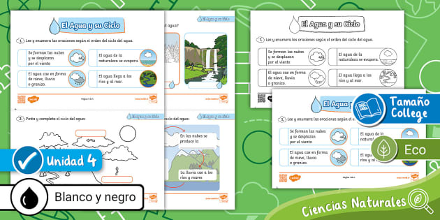 Ciclo del agua para niños | Teaching Wiki | Twinkl - Twinkl