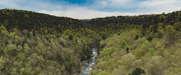 What is Alabama? - Alabama Facts for Kids - Twinkl USA