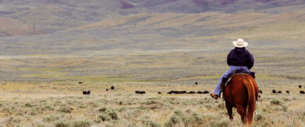 What is Montana? - Montana Facts for Kids - Twinkl USA