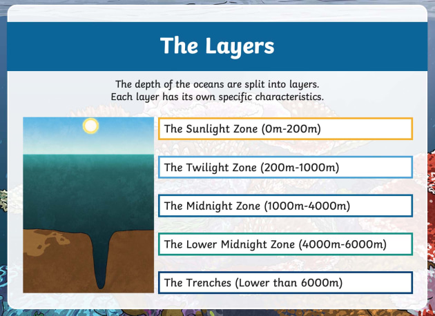 What is an Ocean? | Definition, History, Ocean Maps, Habitat