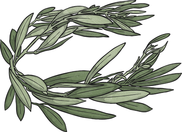 What are the Olympics? - Olympics History for Children