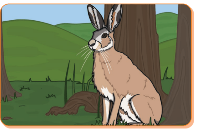 Dysgwch am y Gwanwyn yng Nghymru gyda Wici Dysgu Twinkl