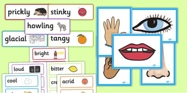 What is sensory language and writing? Wiki. - Twinkl